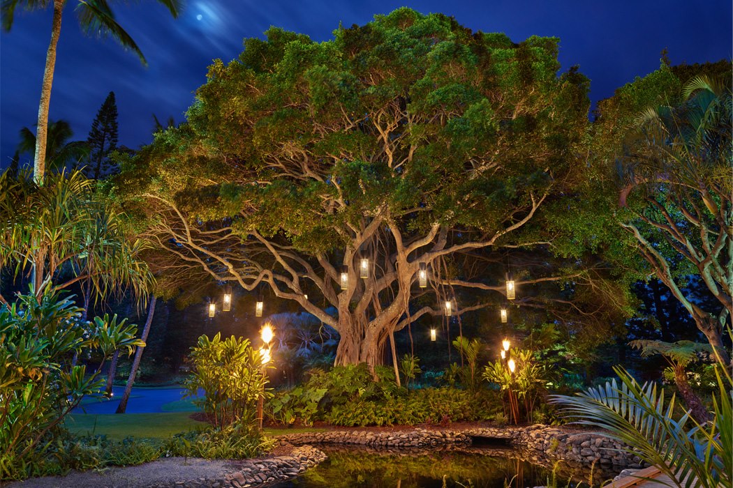 Home [ritzcarltonmauiluau.com]